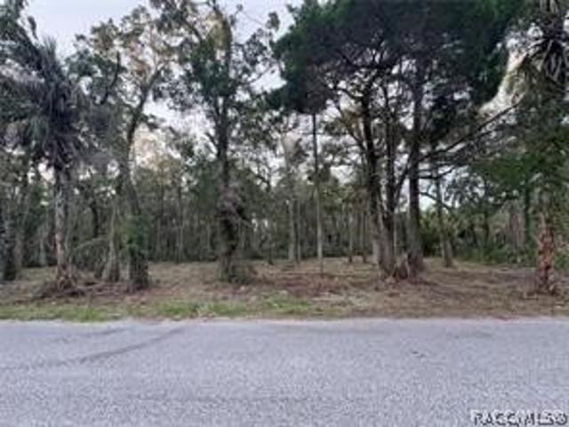 11905 W Eldred Ln, Homosassa, FL 34448