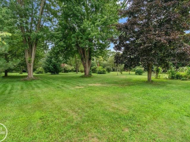 1190 Mile Road