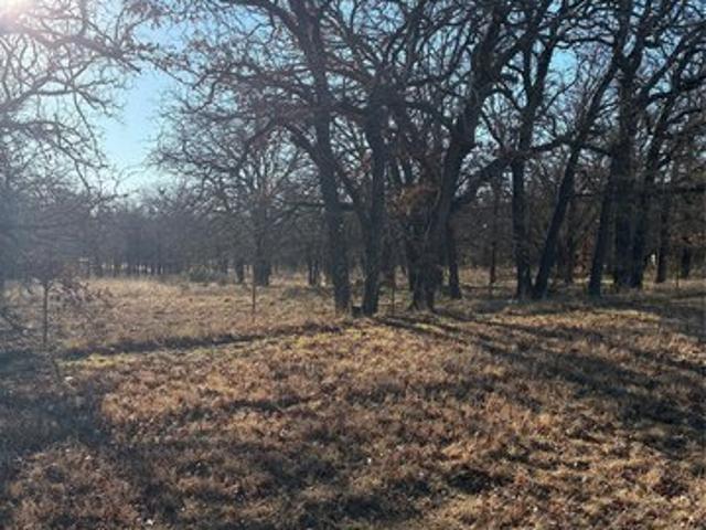 1190 N State Highway 220, Hico, TX 76457