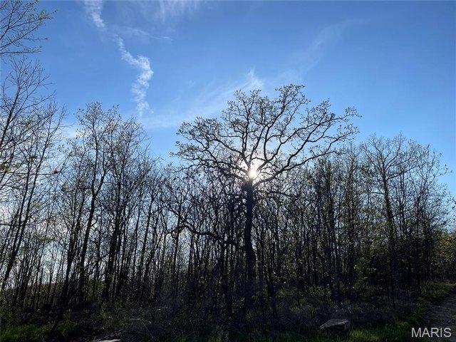 1190 Private 349A Rd # 5, Piedmont, MO 63957