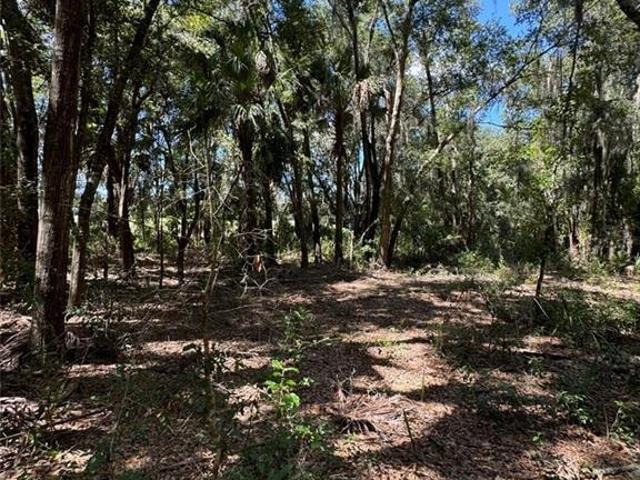 11916 N Captiva Ter, Dunnellon, FL 34433 | MLS #HC2241