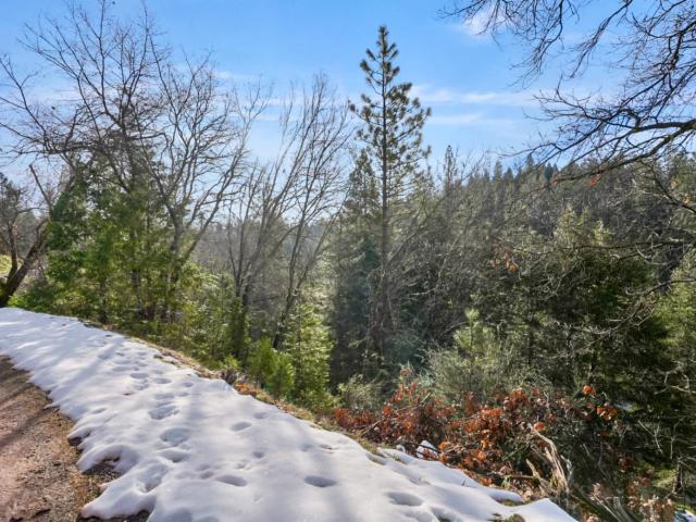 1191 Barney Way, West Point, CA 95255 | MLS #226024