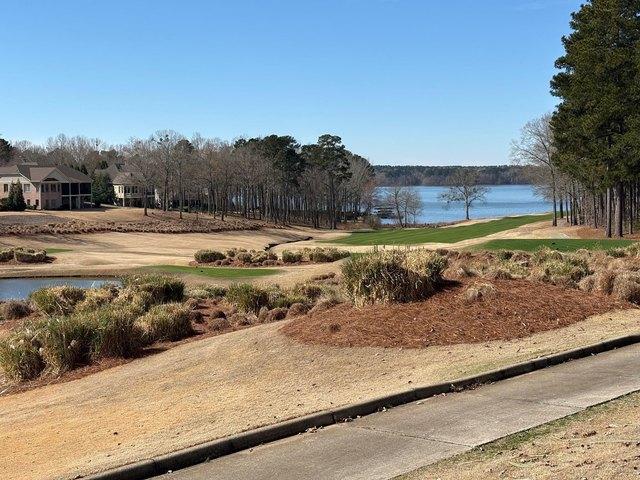 1191 Lakeview Ct, Greensboro, GA 30642