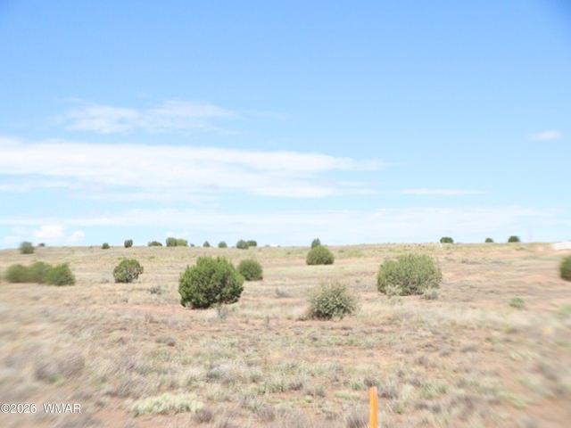1191 W Pinedale Rd, Taylor, AZ 85939