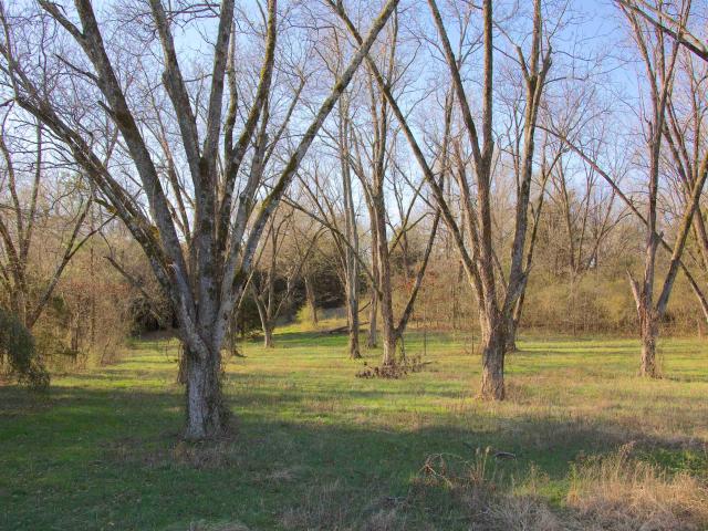11925 old jackson rd