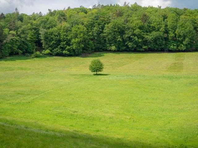 11926 Stable View Dr Lot 22, Eads, TN 38028