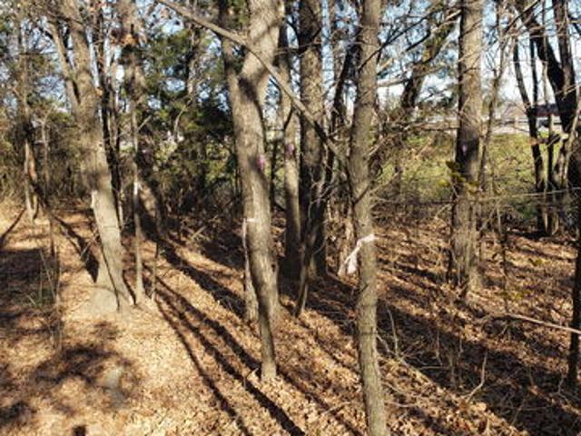 11929 Brookvalley