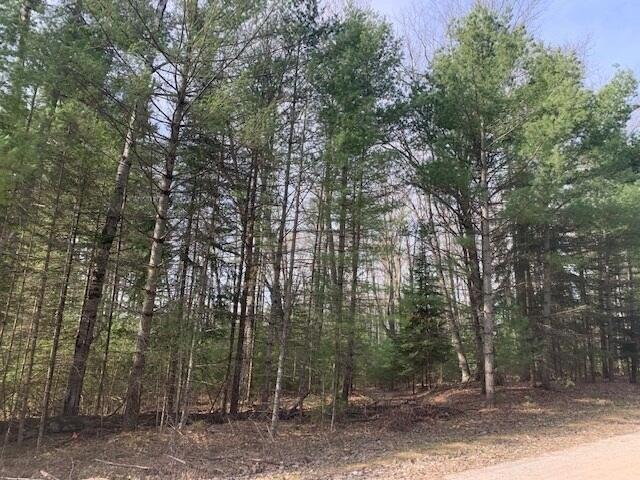 119 120 Ponderosa Dr, Lachine, MI 49753
