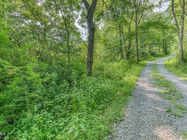 119 Alice Johnson Rd Unit 119, Roan Mountain, TN 37687