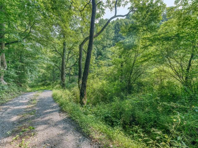 119 Alice Johnson Road 119