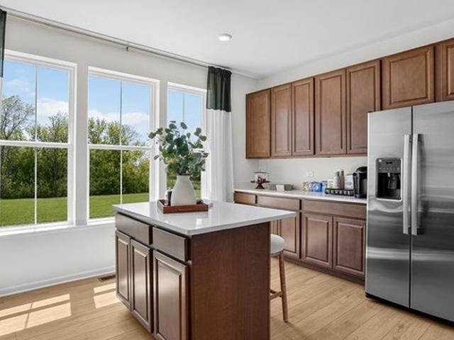 119 Harvest Ln, West Dundee, IL 60118