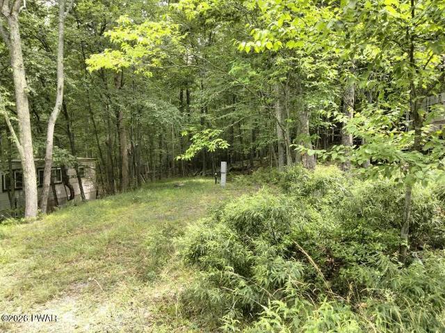 119 Locust Lake Drive