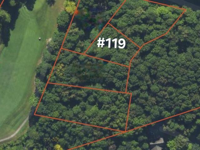 119 Legend Trail