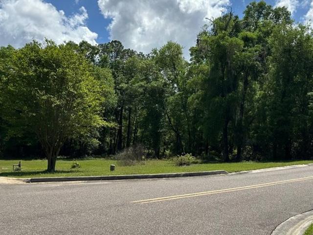 119 SW Woodleaf Ct, Lake City, FL 32024