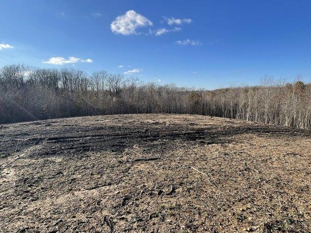 119 Pondview Dr, Hohenwald, TN 38462