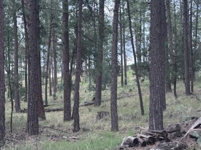 119 Paradise Valley Dr Unit 119, Timberon, NM 88350