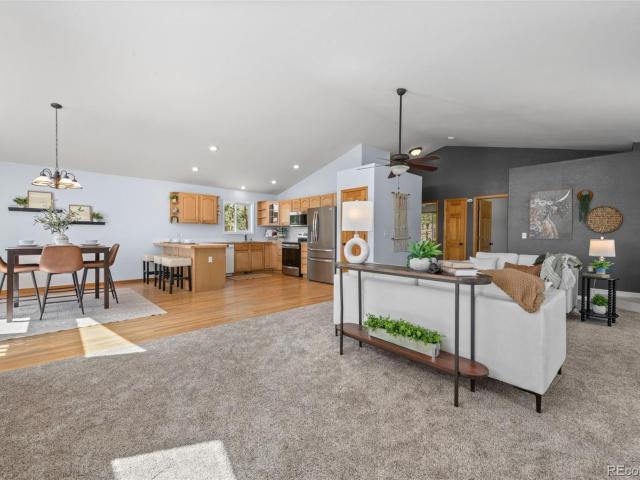 119 Quakie Way, Bailey, CO 80421 | Compass