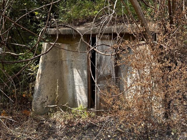 119 Rodger Carroll Rd