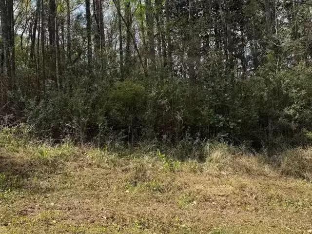 119 WOODSIDE DR, DAPHNE, AL 36526 Single Family Residence For.