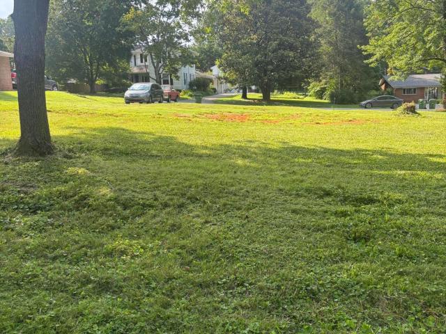 119 Waller Ave 7R