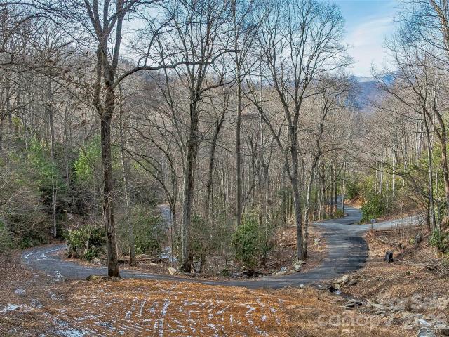 119 Wildflower Cove Drive