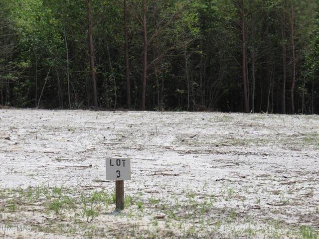 119H T Brown Ln, Magnolia, NC 28453