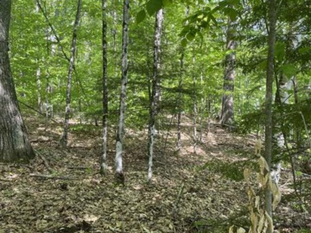 11 6 4 Reservoir Rd, Campton, NH 03223
