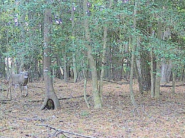 11.770 Daugherty Rd
