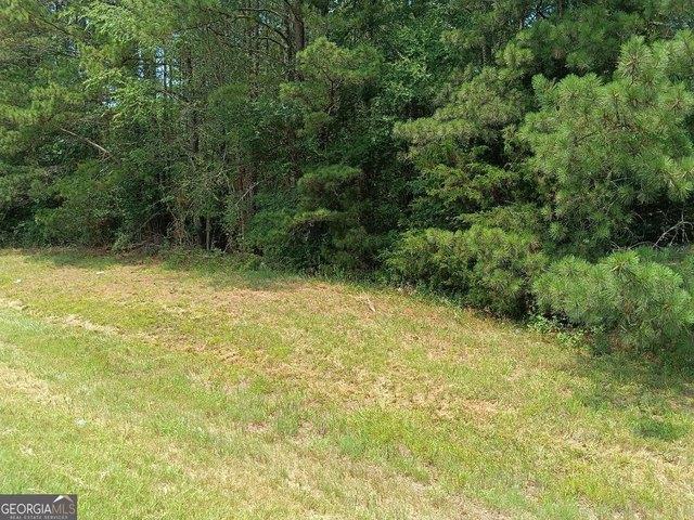 11.78 Athens Hwy, Madison, GA 30650