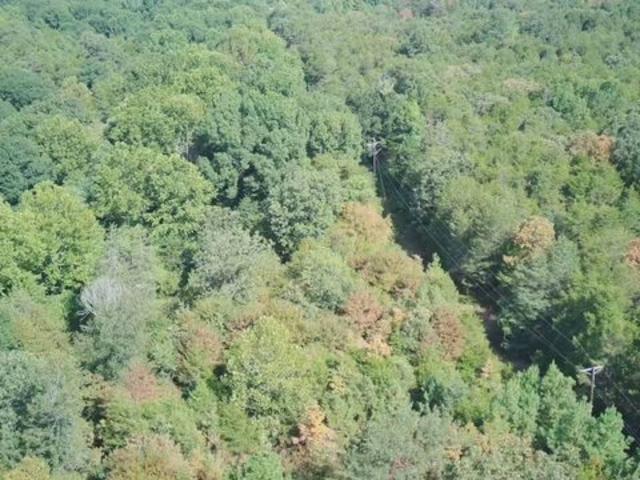 11 8 27 Windsong Way, Ozark, AR 72949