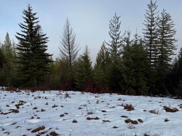 11 13 Kingston Way, Kingston, ID 83839 | MLS #26 1644