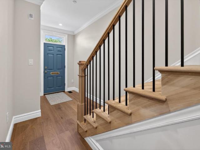 11 1/2 College Avenue