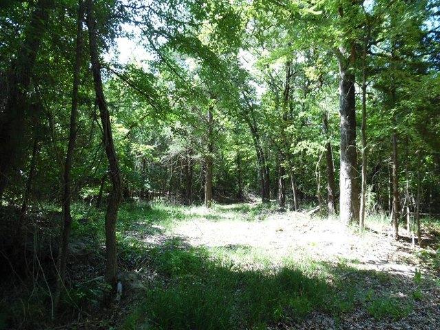 11 12TBD Deer Path, Murchison, TX 75778