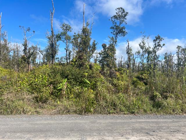 11 2454 Lot 57 Kaleponi Dr, Mountain View, HI 96771 | MLS #729140