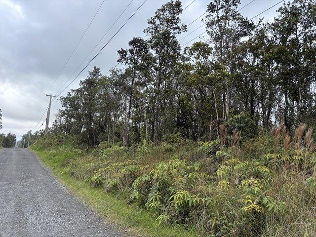 11 2575 Ohialani Rd, Volcano, HI 96785