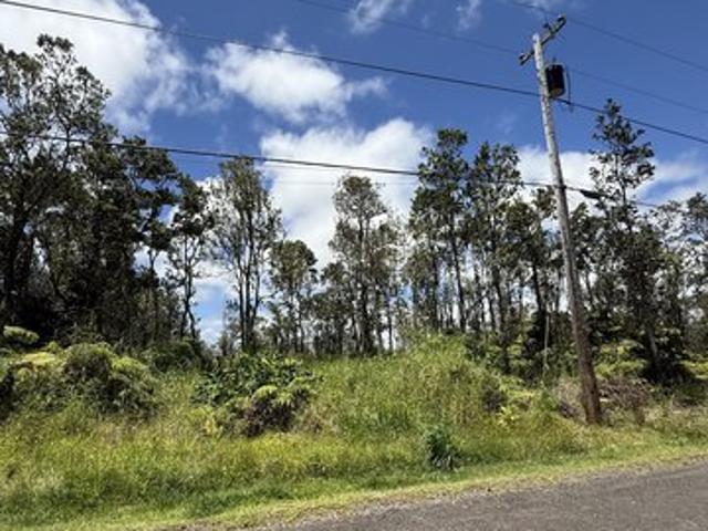 11 3308 Anuhea St, Volcano, HI 96785