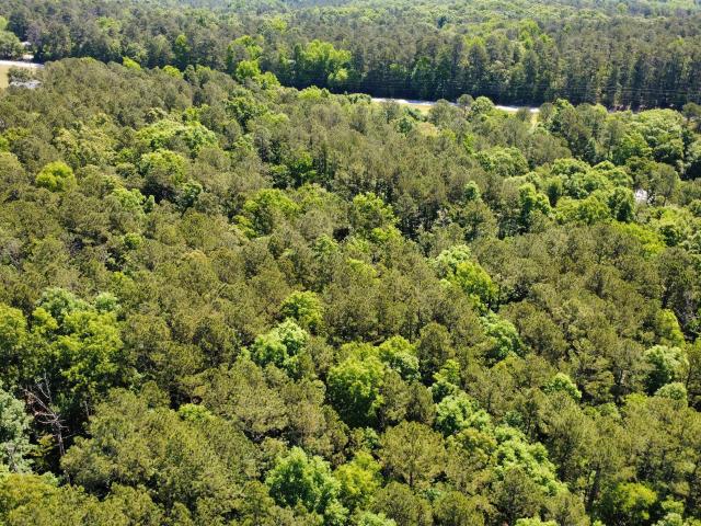 11.37 Ac Hwy 220 E