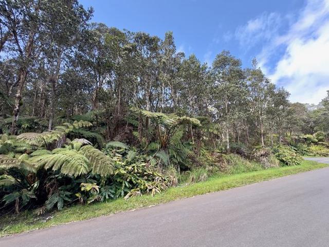 11 38 th St, Volcano, HI 96785
