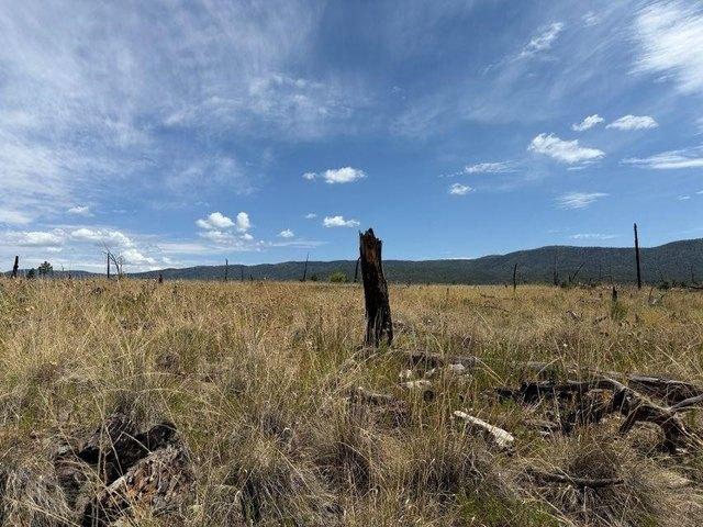 11 Tokatee Ct, Timberon, NM 88350
