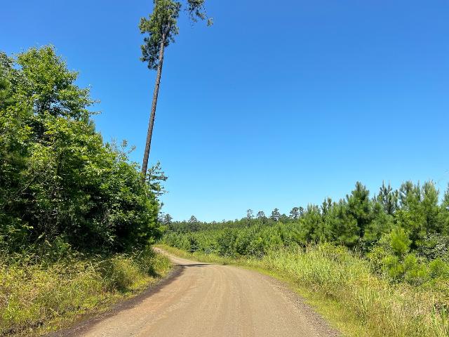 11 W Carters Ferry Rd, Milam, TX 75959 | MLS #10157