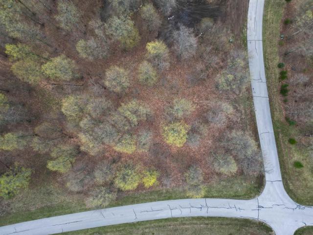11 W Timber View Trail # Lot: 11