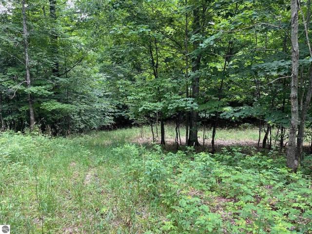 11 W Timber View Trail