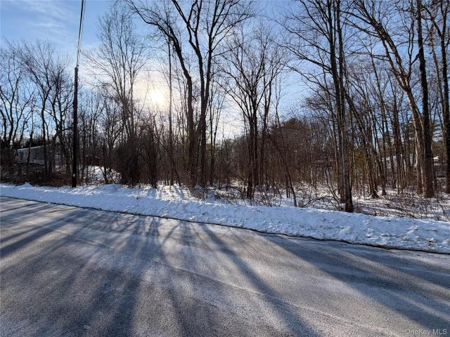 11 White Birch Road