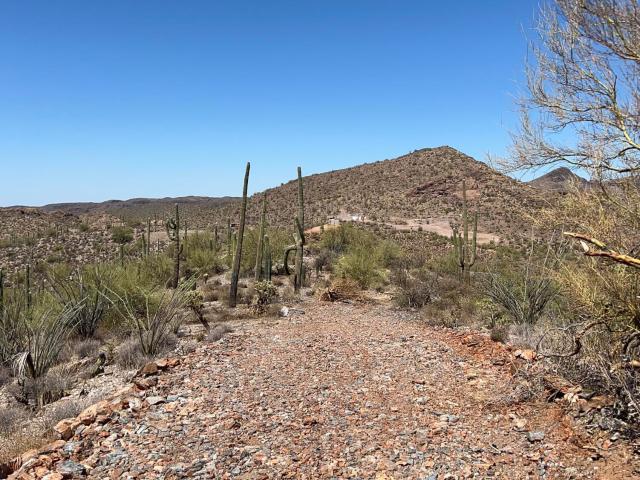 11 xx N Hardt Tank Rd, Unit 2, Gold Canyon, AZ 85118 | MLS #6950