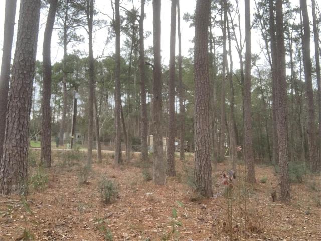 11 Yolanda St, Huntsville, TX 77320 | MLS #89650