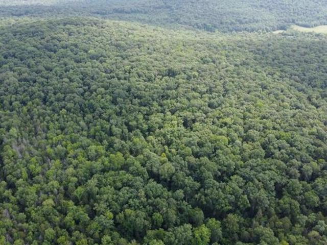 11 Acres Cathedral Caverns Hwy, Woodville, AL 35776