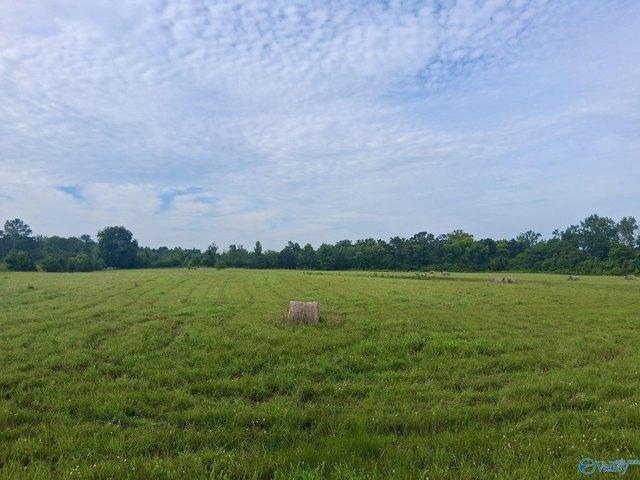 11 Acres Columbus City Rd, Grant, AL 35747