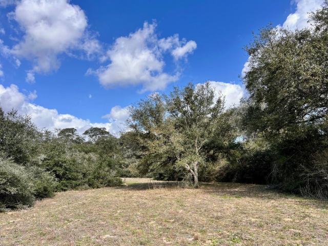 11 Acres Loose Cow Rd