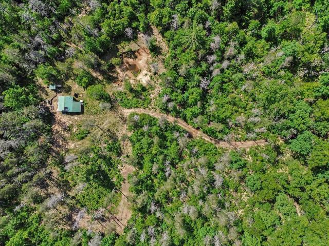 11 Acres Owens Road