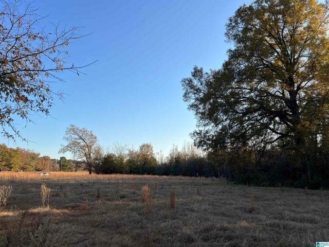 11 acres riser mill road # 11 acres